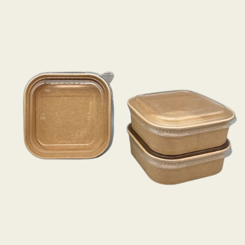 Eco-friendly Biodegradable Food Packaging | Hot Custom Boxes